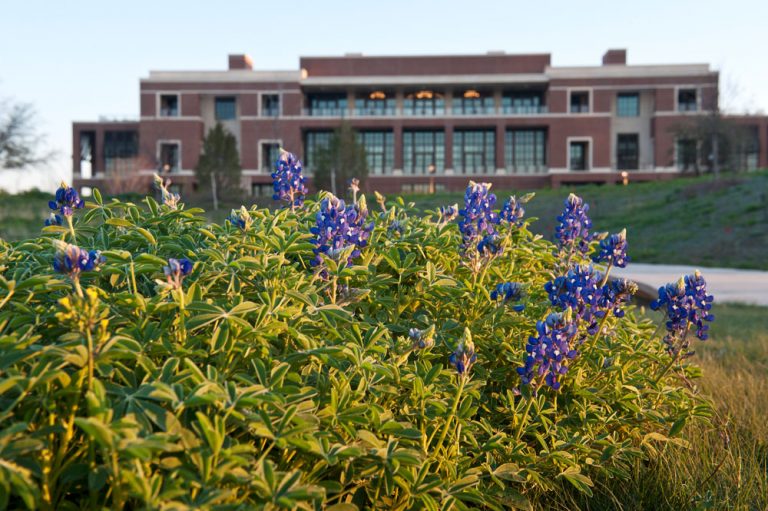 George W. Bush Presidential Center (19) - Manhattan Construction Company